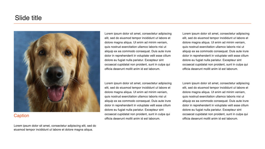 Pets PowerPoint Template – MasterBundles