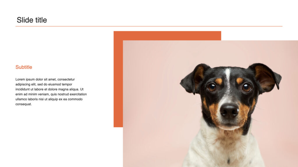 Pets PowerPoint Template – MasterBundles