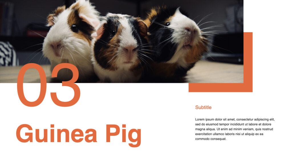 Pets PowerPoint Template – MasterBundles