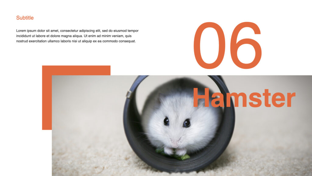 Pets PowerPoint Template – MasterBundles