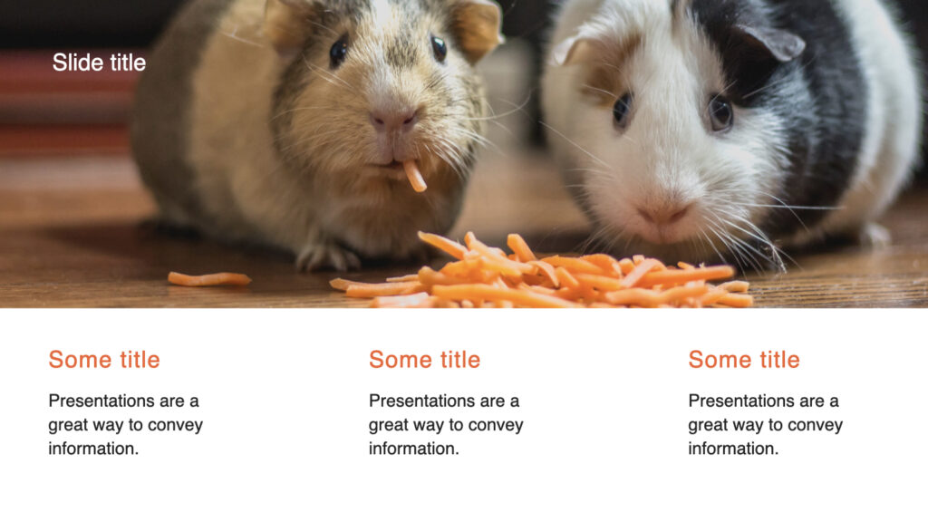 Pets Presentation Bundle – MasterBundles