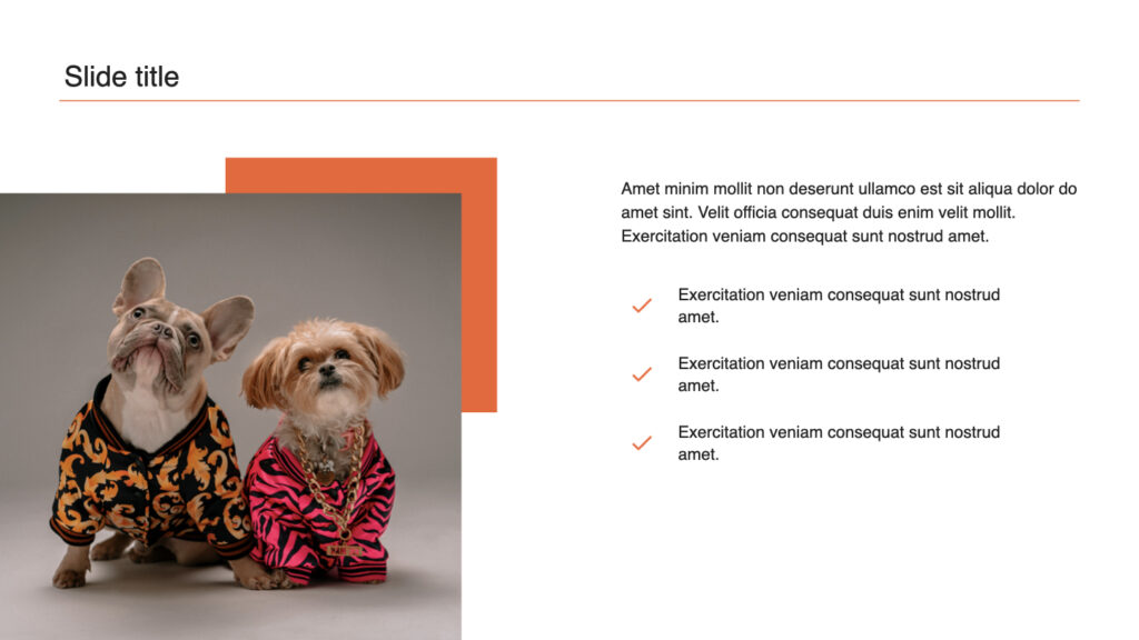 Pets PowerPoint Template – MasterBundles