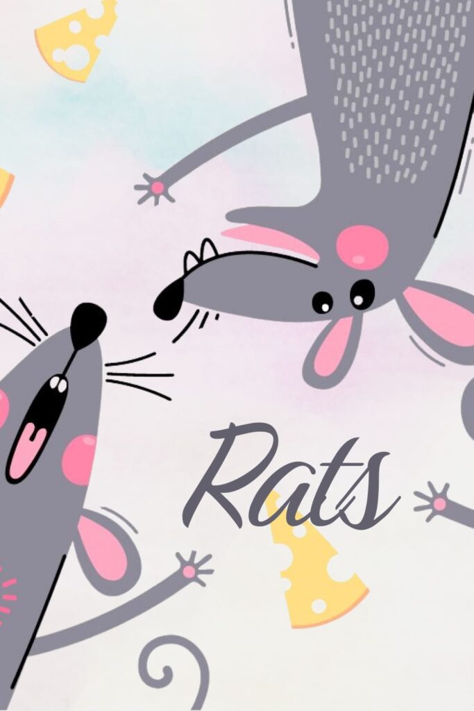 Rats - Cute Set – MasterBundles