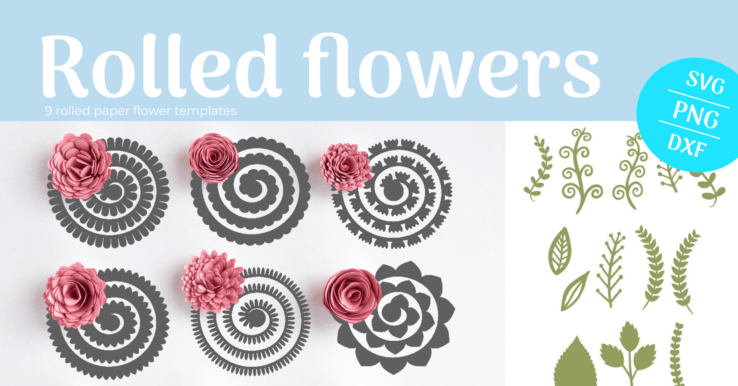 Rolled Flowers SVG 9 Rolled Paper Flower Templates MasterBundles