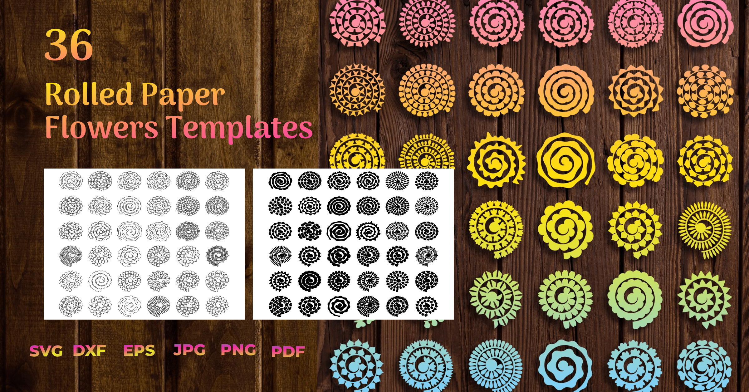 Rolled Paper Flowers SVG. Rolled Flower SVG. Paper cut Flower ...
