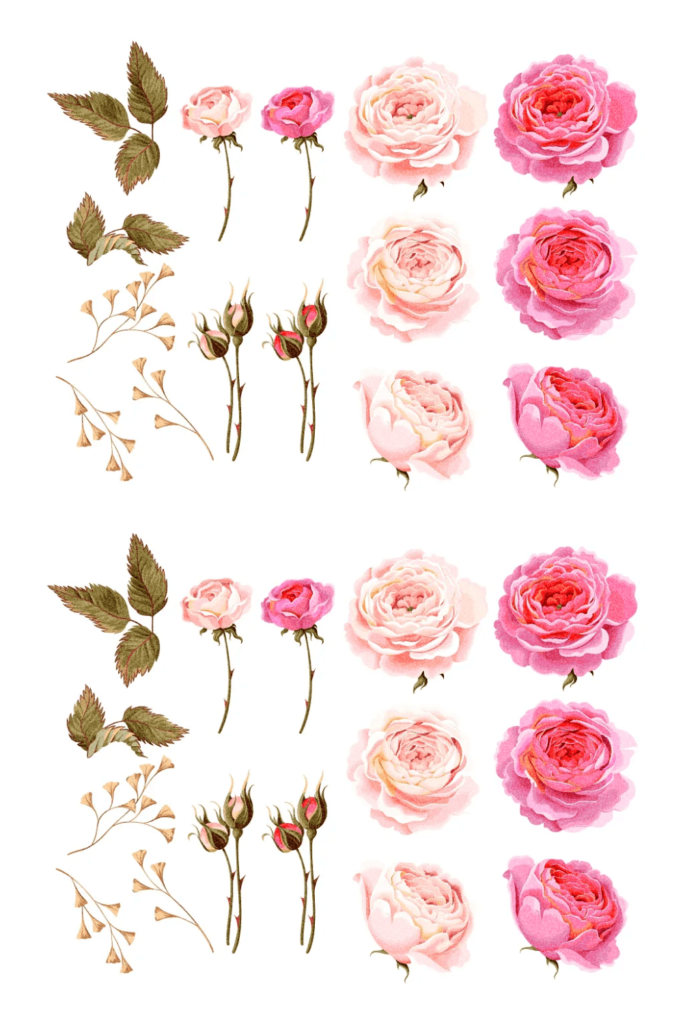 6 Rose Patterns – MasterBundles
