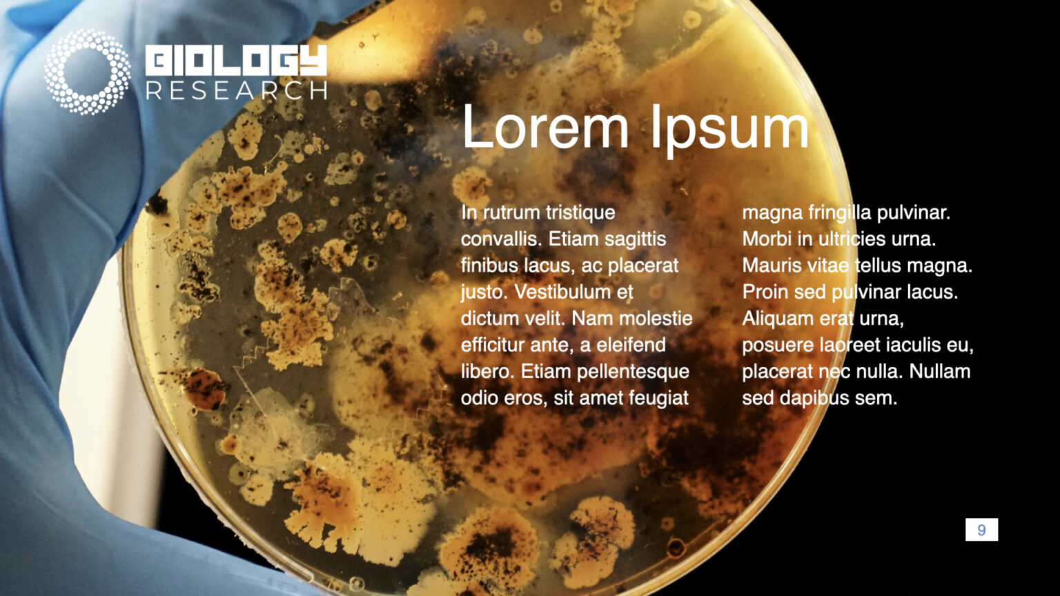 Science Research Presentation Template: 50 Slides PPTX, KEY, Google ...