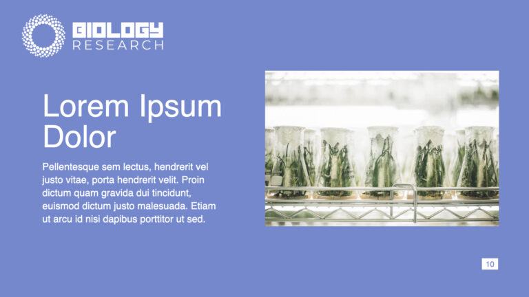 Science Research Presentation Template: 50 Slides PPTX, KEY, Google ...