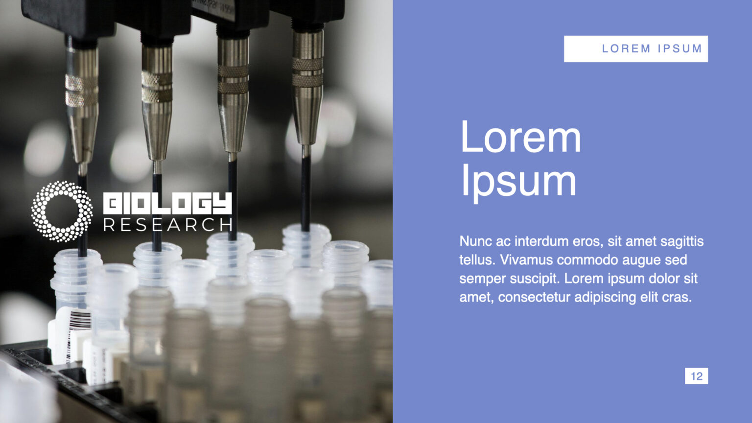 Science Research Presentation Template: 50 Slides PPTX, KEY, Google ...