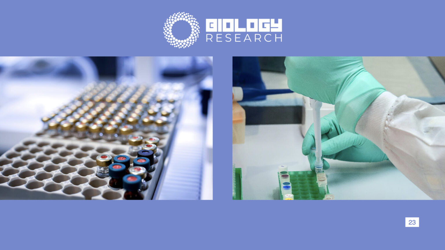 Science Research Presentation Template: 50 Slides PPTX, KEY, Google ...