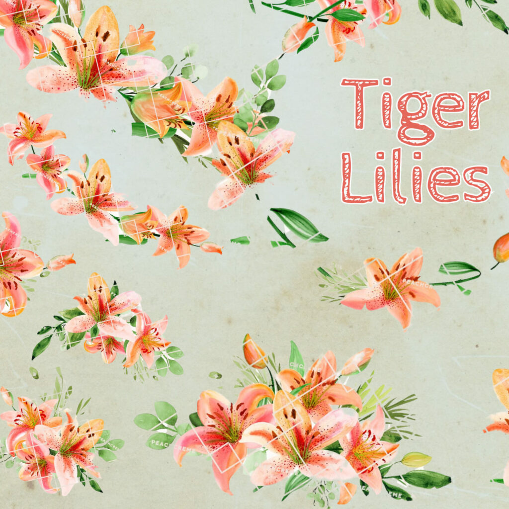 Tiger Lilies Watercolor Set SALE – MasterBundles
