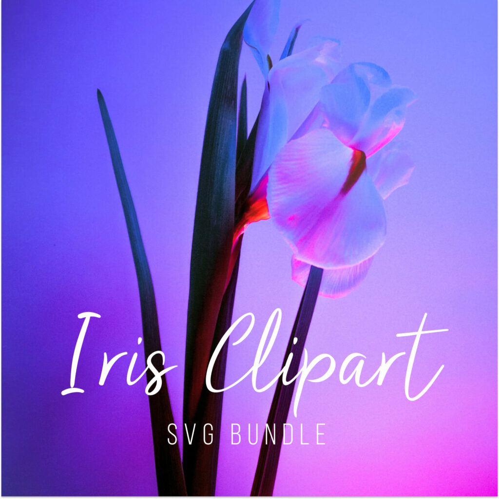 Iris Clipart SVG Bundle: 133 Elements – MasterBundles