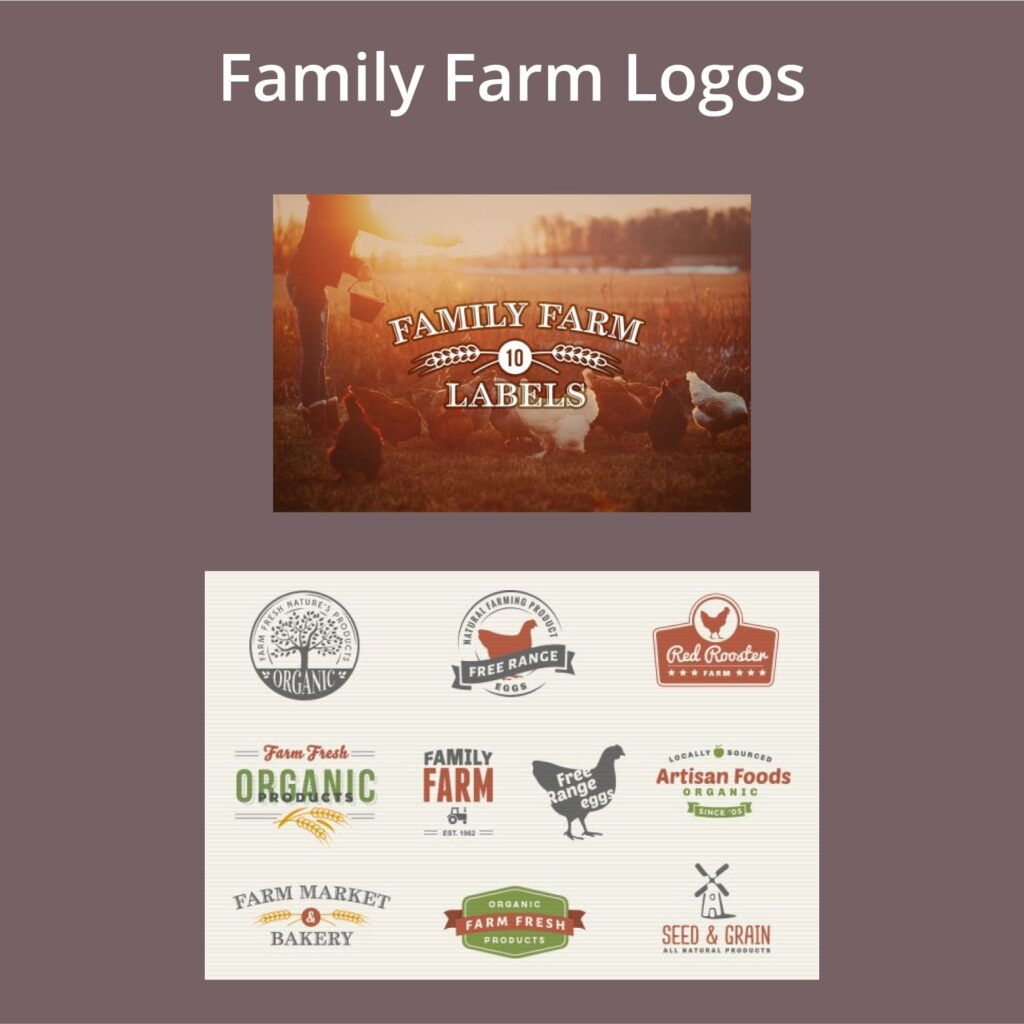 6 Farm Logo Design Templates – MasterBundles