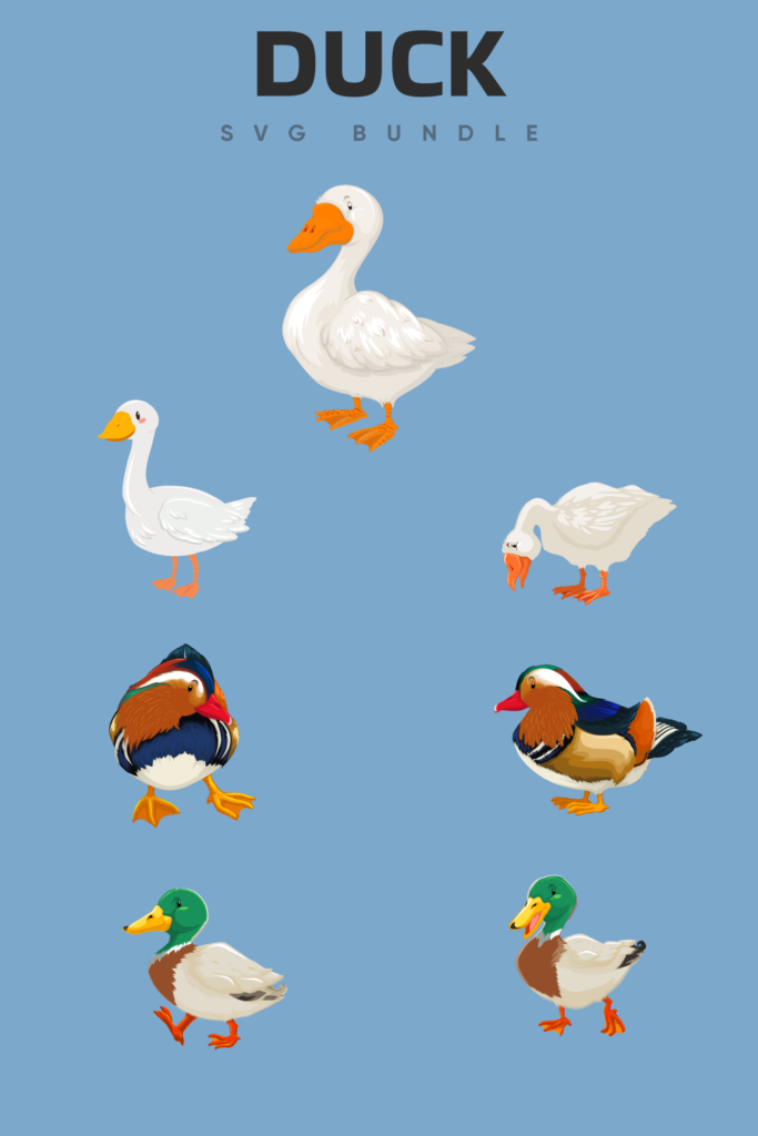 7 Duck SVG Designs – MasterBundles