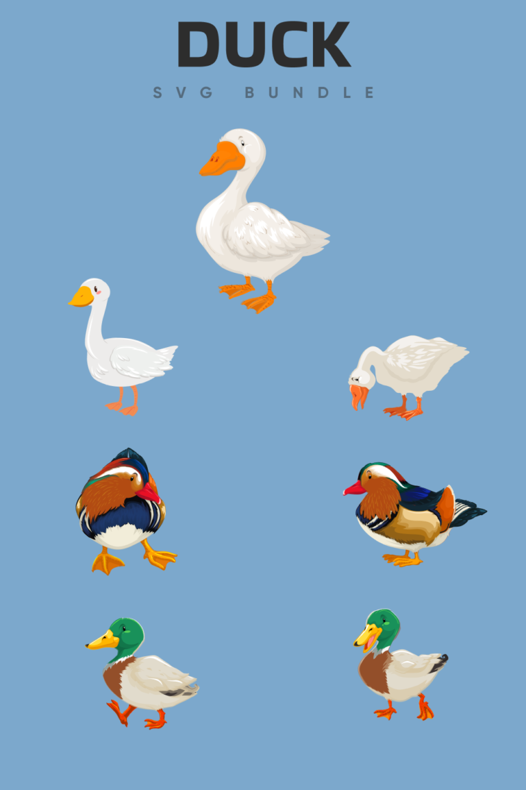 7 Duck SVG Designs – MasterBundles
