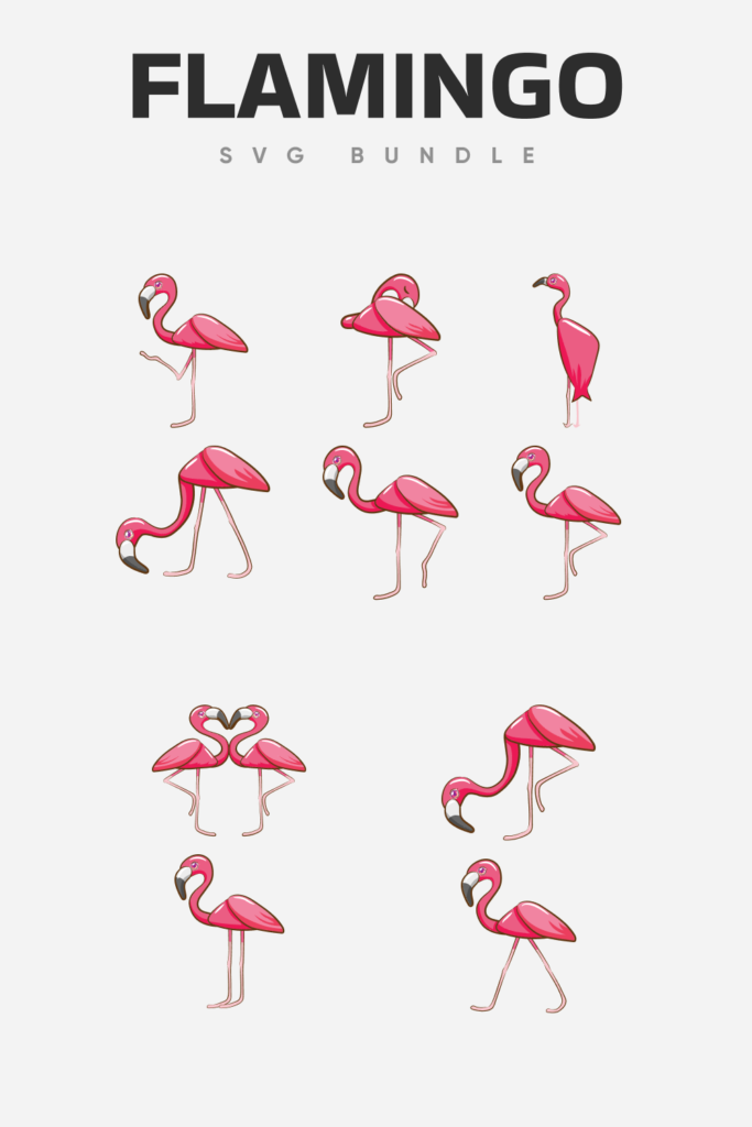10 Flamingo SVG Files – MasterBundles