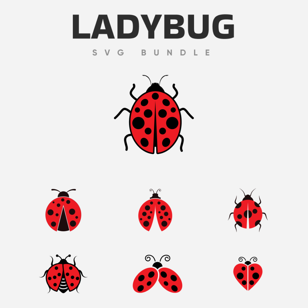 9 Ladybug SVG Designs – MasterBundles