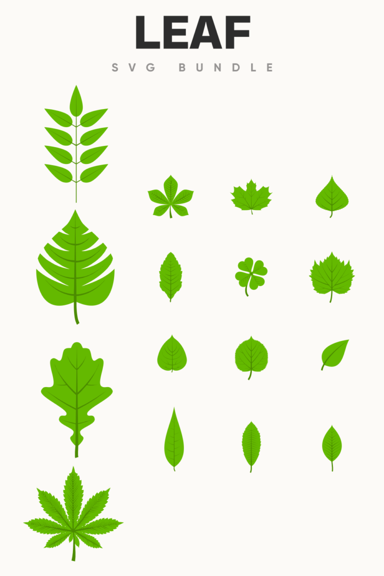 Leaf SVG Designs – MasterBundles