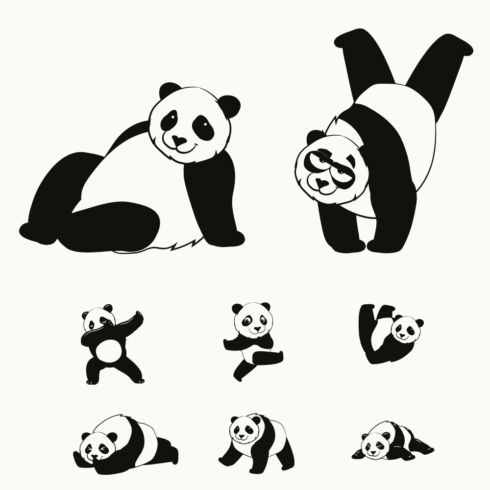 10 Panda SVG Designs | Master Bundles