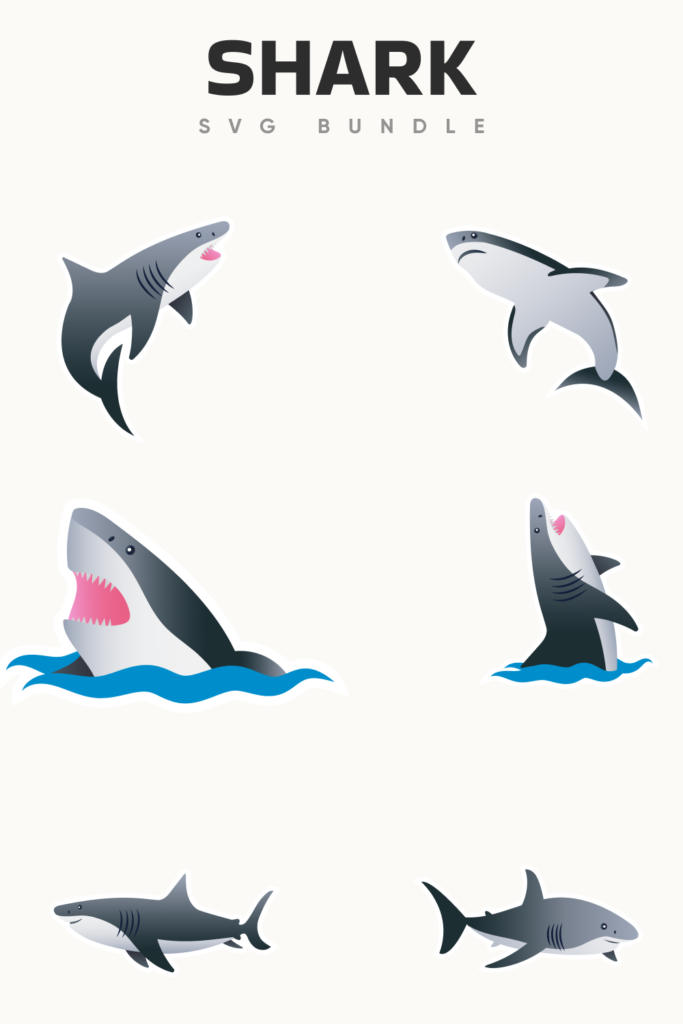 6 Shark SVG Designs – MasterBundles