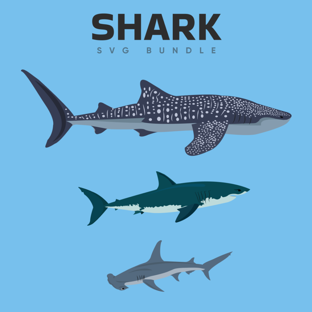 3 Shark SVG Files – MasterBundles
