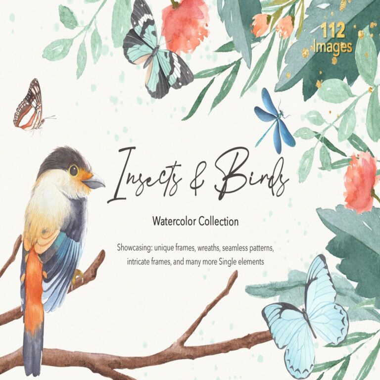 Insects & Birds Watercolor Set – MasterBundles
