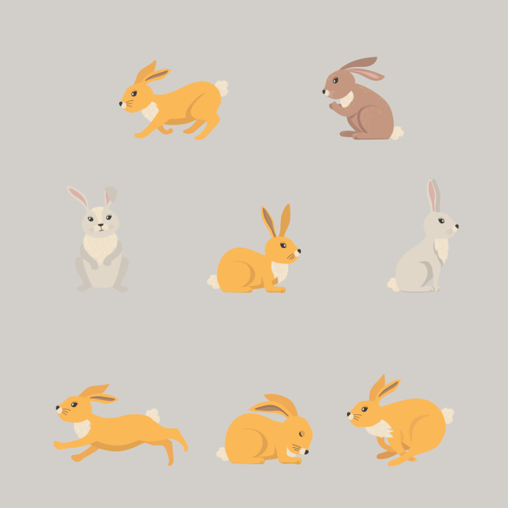 8 Bunny SVG Designs – MasterBundles