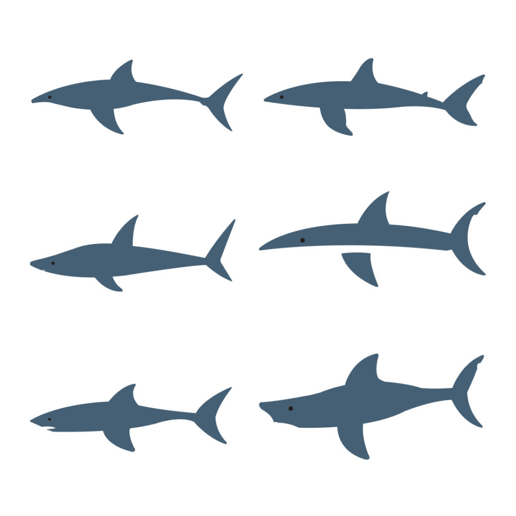 6 Shark SVG Files – MasterBundles
