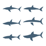6 Shark SVG Files – MasterBundles