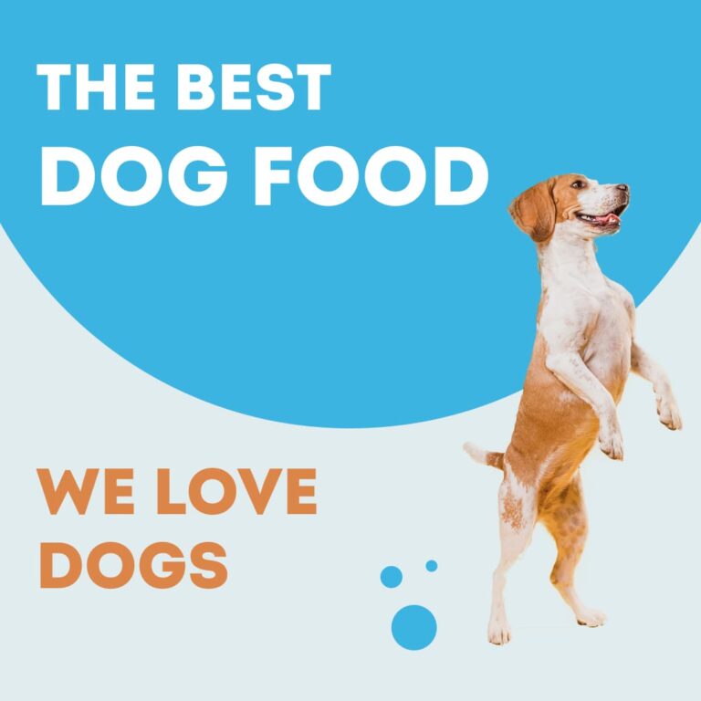 5 Cute Dog Instagram Post Templates – MasterBundles