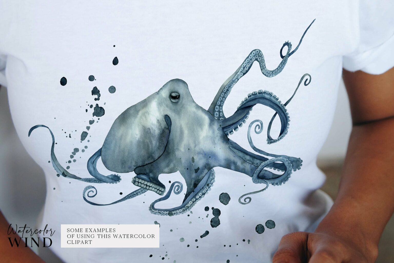 Watercolor PNG Octopus Clip Art – MasterBundles
