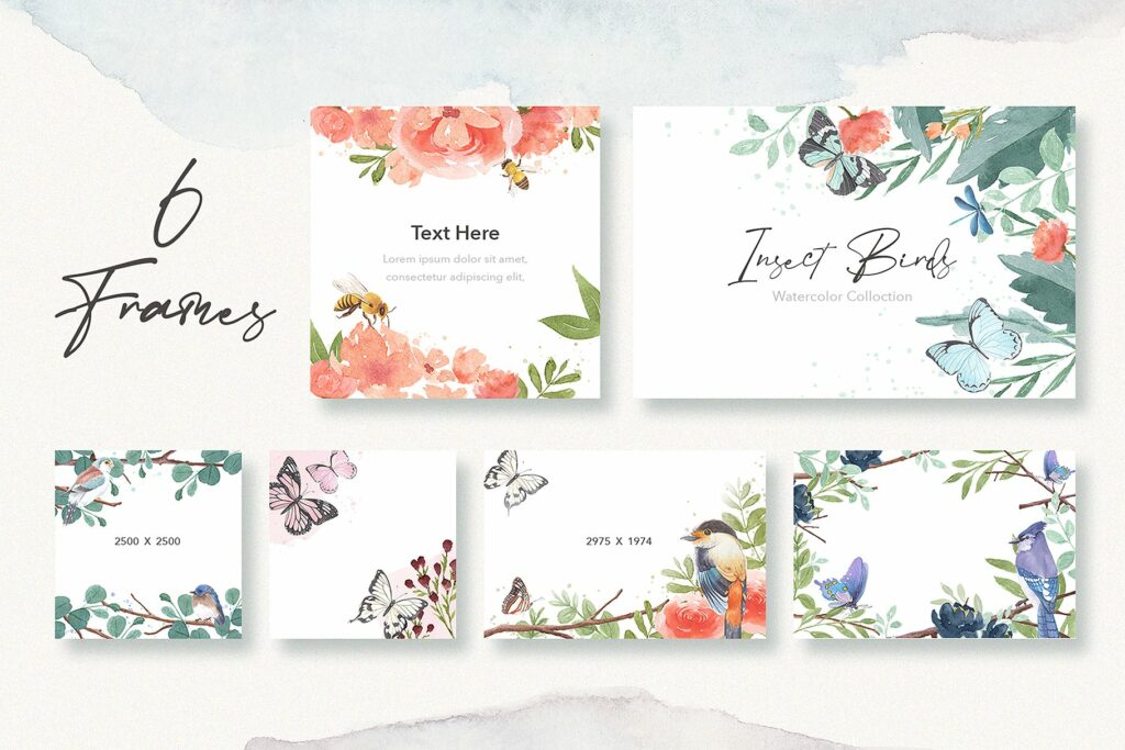 Insects & Birds Watercolor Set – MasterBundles