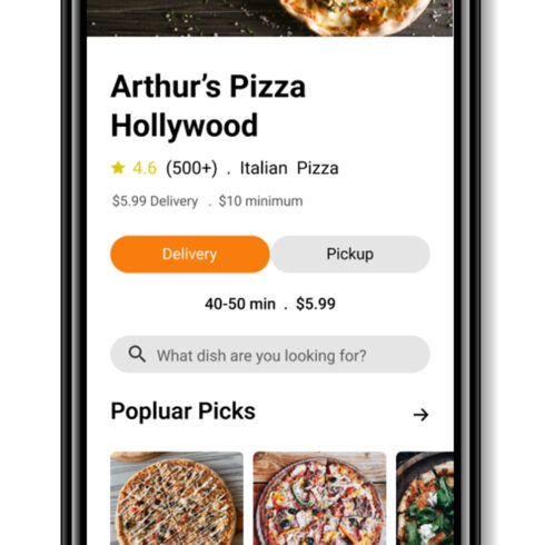 Fast Food Delivery App | MasterBundles