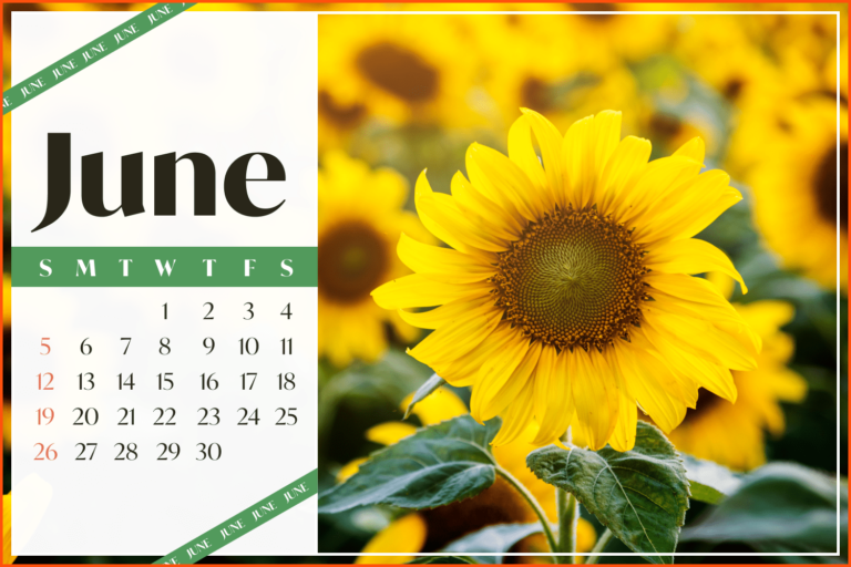 40+ Best June Calendars for 2022