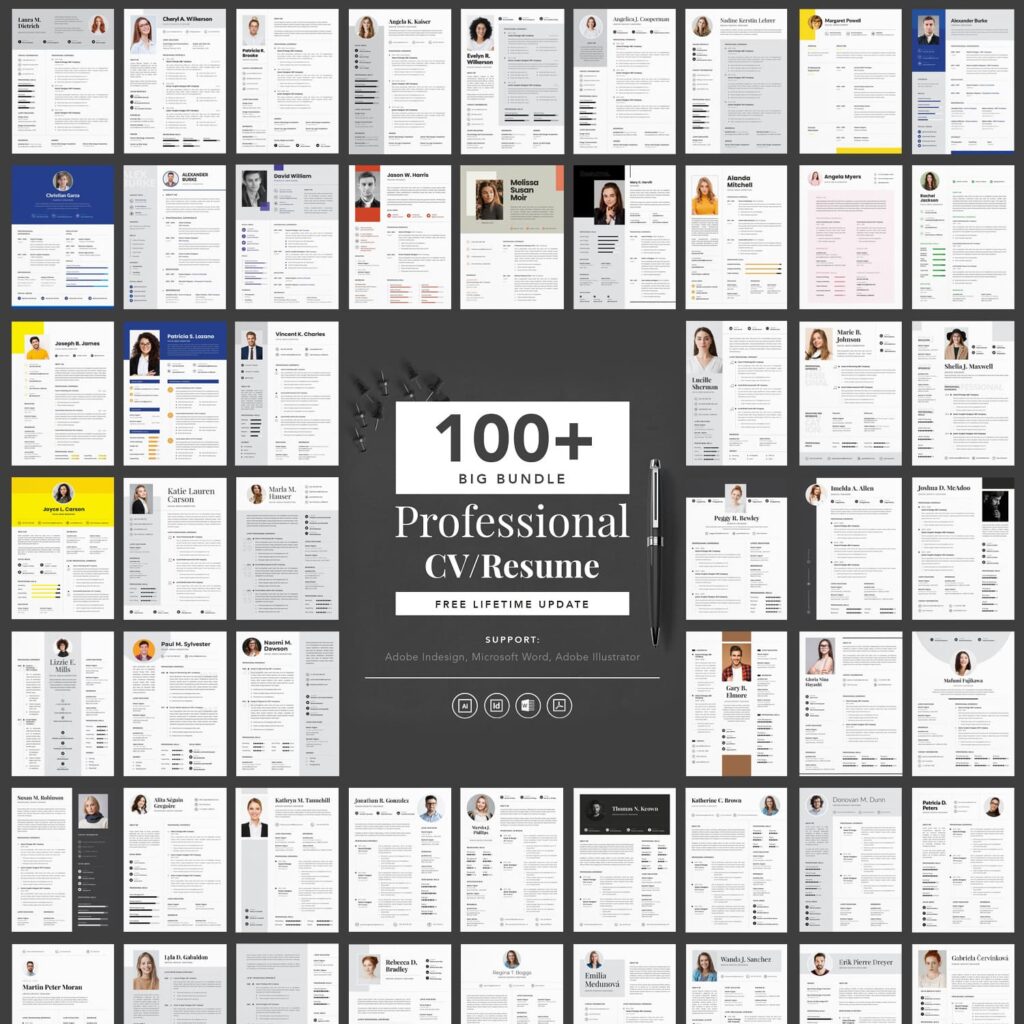 Big Bundle Professional CV Resume – MasterBundles