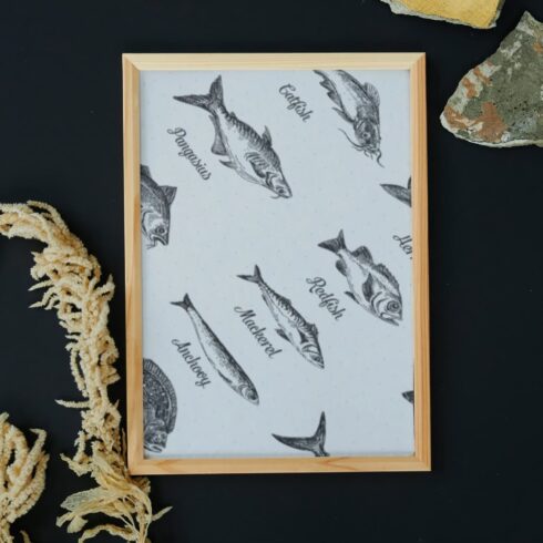 Hand Drawn Fish Illustrations – MasterBundles