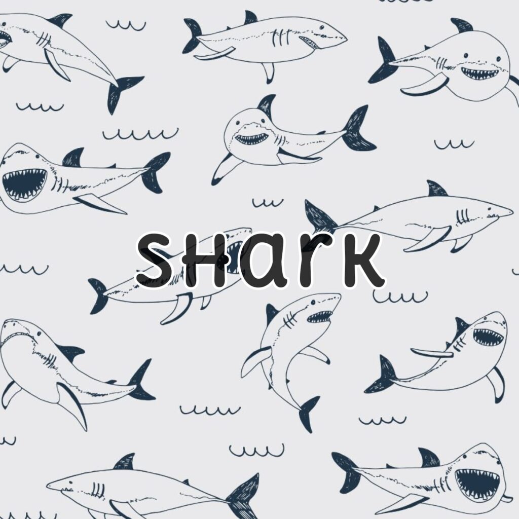 Shark Illustrations & Patterns – MasterBundles