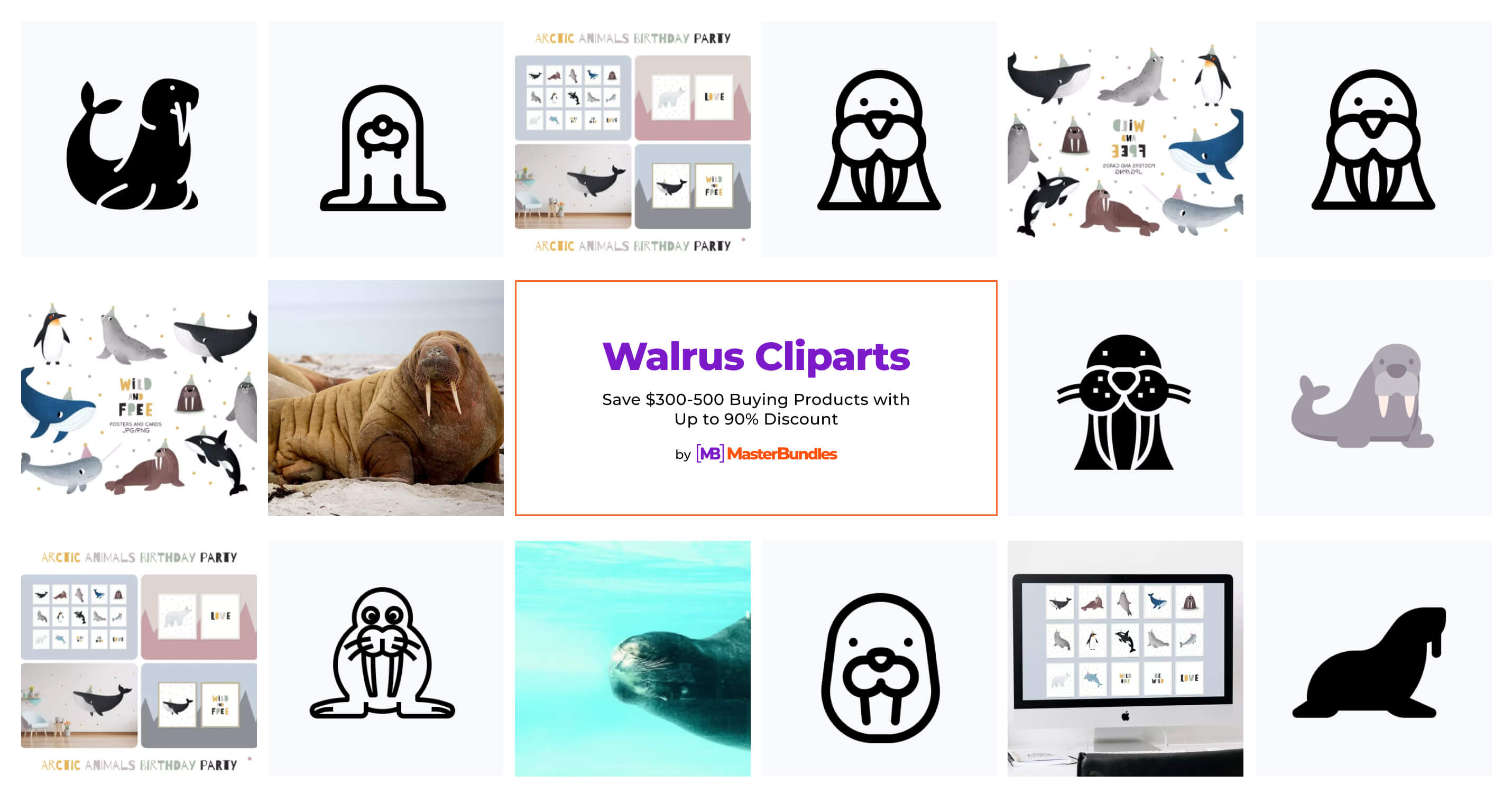 10+ Walrus Clipart Images & Illustrations for 2025 - MasterBundles