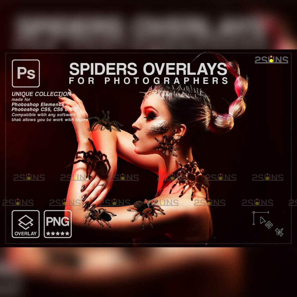 Photoshop overlay, spider overlay, spider clipart - MasterBundles
