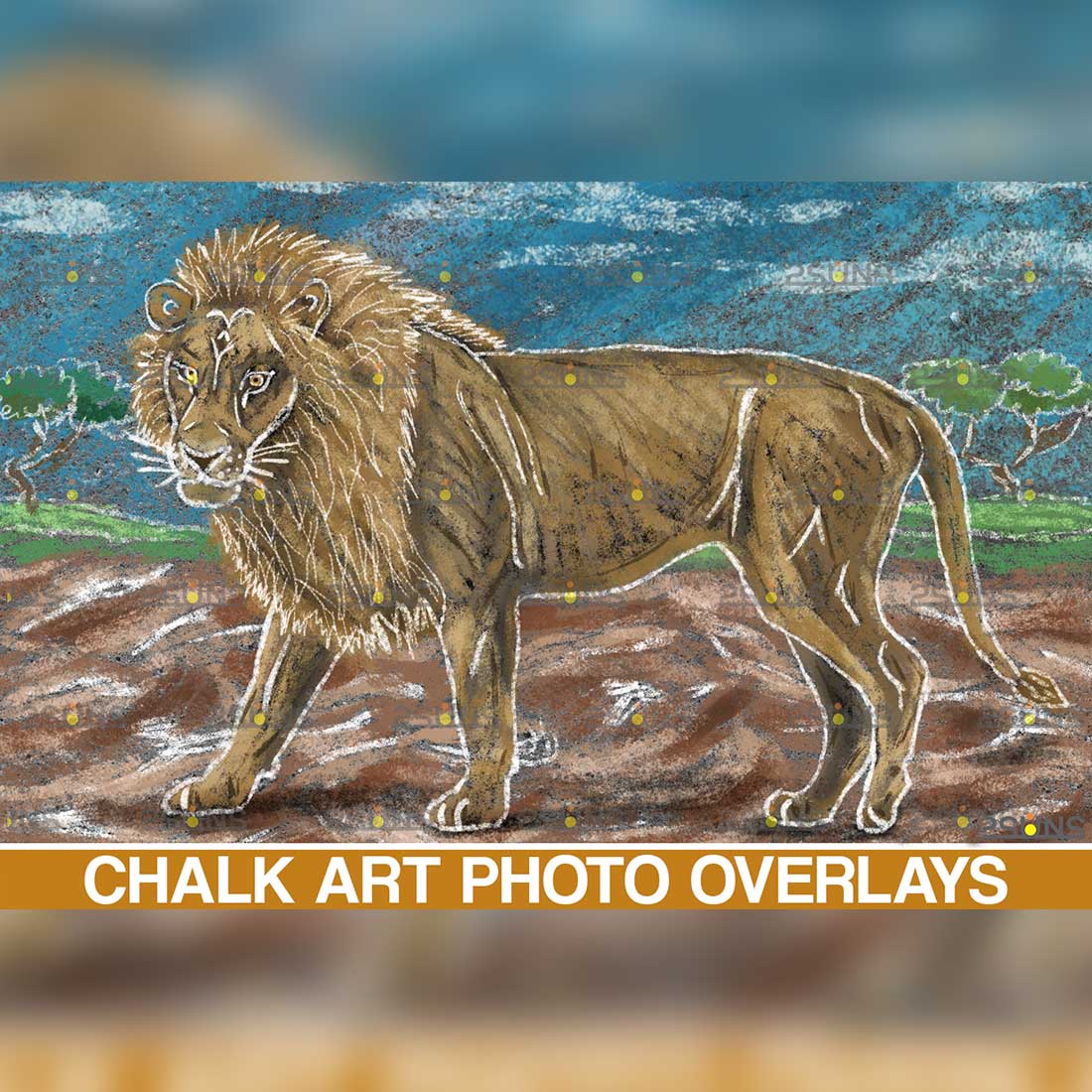 Sidewalk Chalk art Overlay, Lion backdrop and safari - MasterBundles