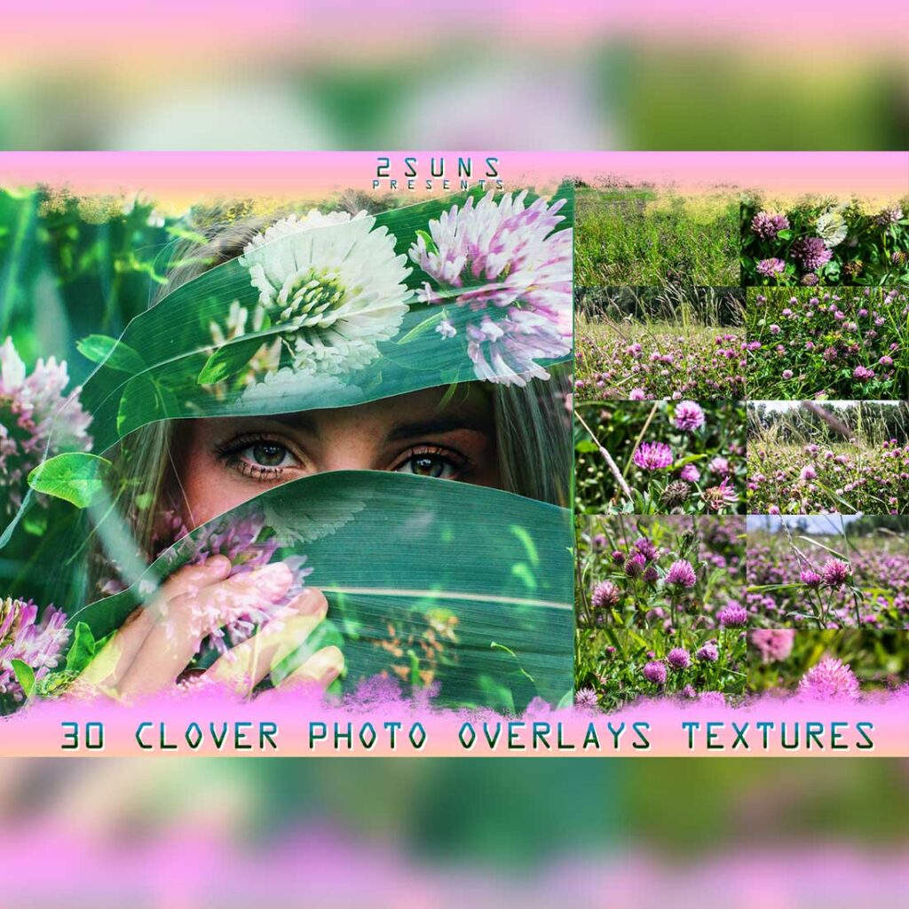 Digital flower backdrop, Flower overlay, Photoshop overlay, Field ...
