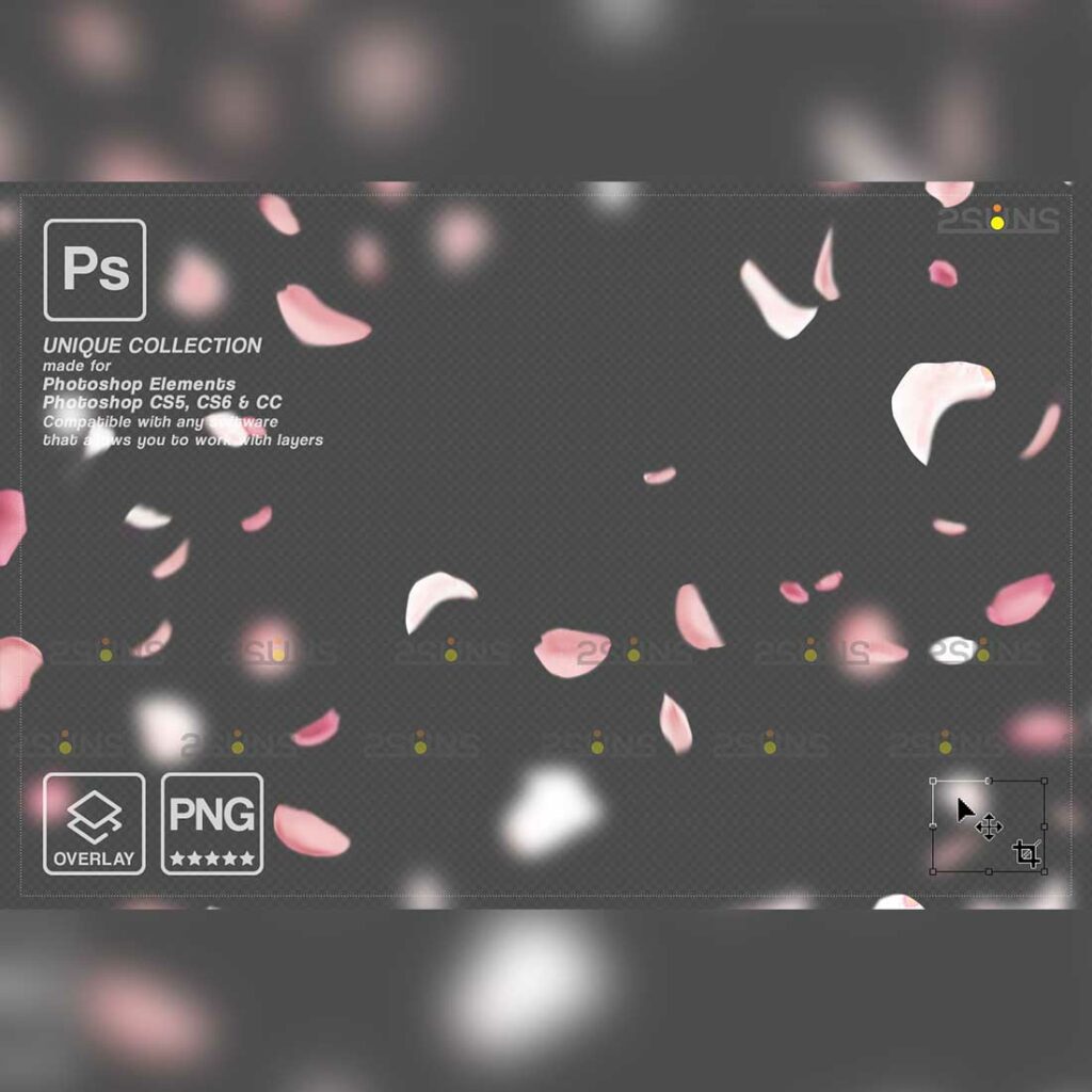 Falling Rose Petals Photo Overlays , Pink petals png - MasterBundles