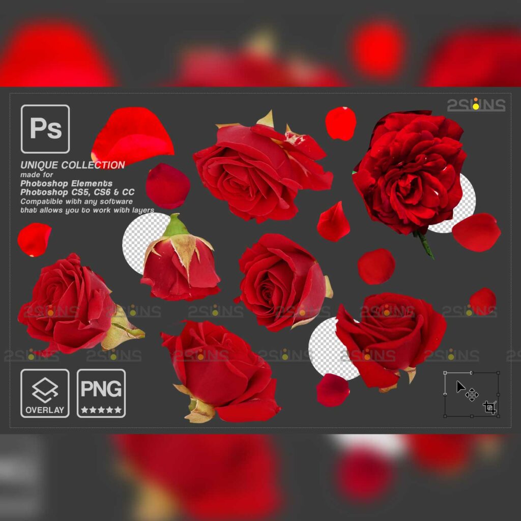 Falling Rose Petals Photo Overlays , Rose Petals, Red Rose - MasterBundles