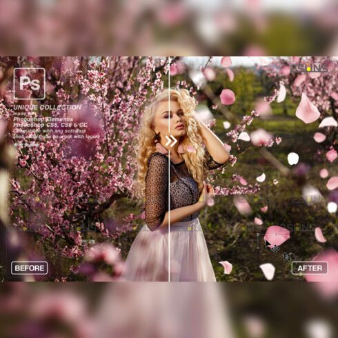 Falling Rose Petals Photo Overlays , Pink petals png - MasterBundles