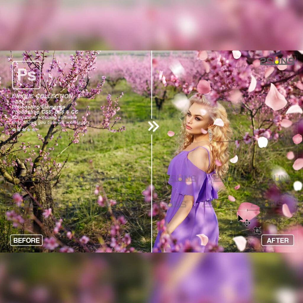 Falling Rose Petals Photo Overlays , Pink petals png - MasterBundles