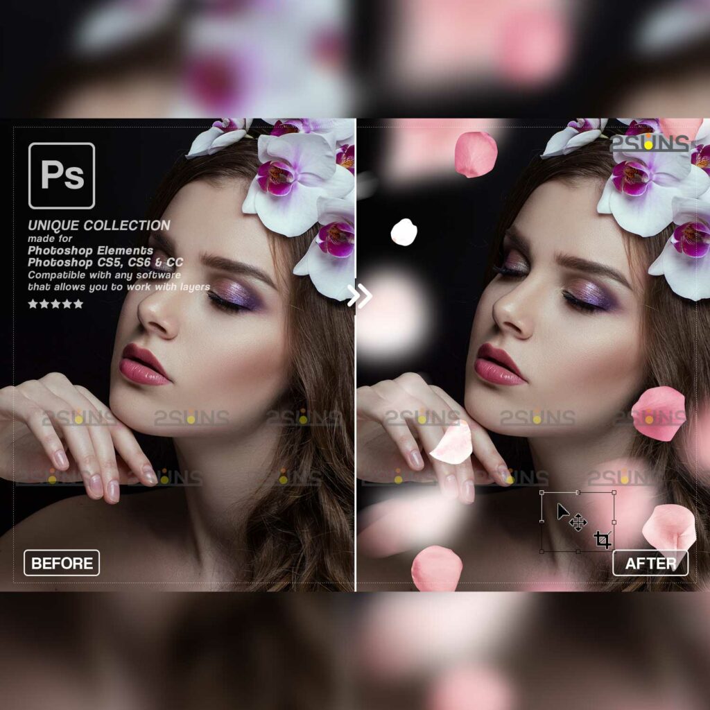 Falling Rose Petals Photo Overlays , Pink petals png - MasterBundles