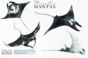 Underwater Bundle | Master Bundles