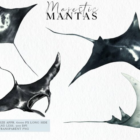 Underwater Bundle | Master Bundles