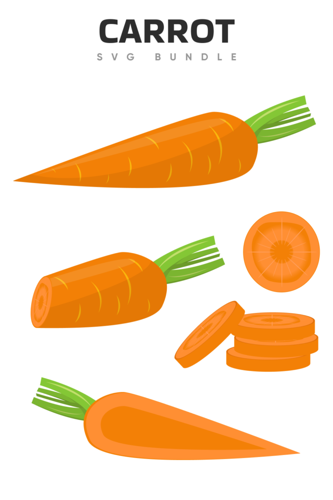 Food Carrot SVG Designs – MasterBundles