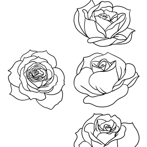 Rose Outline SVG Designs | MasterBundles